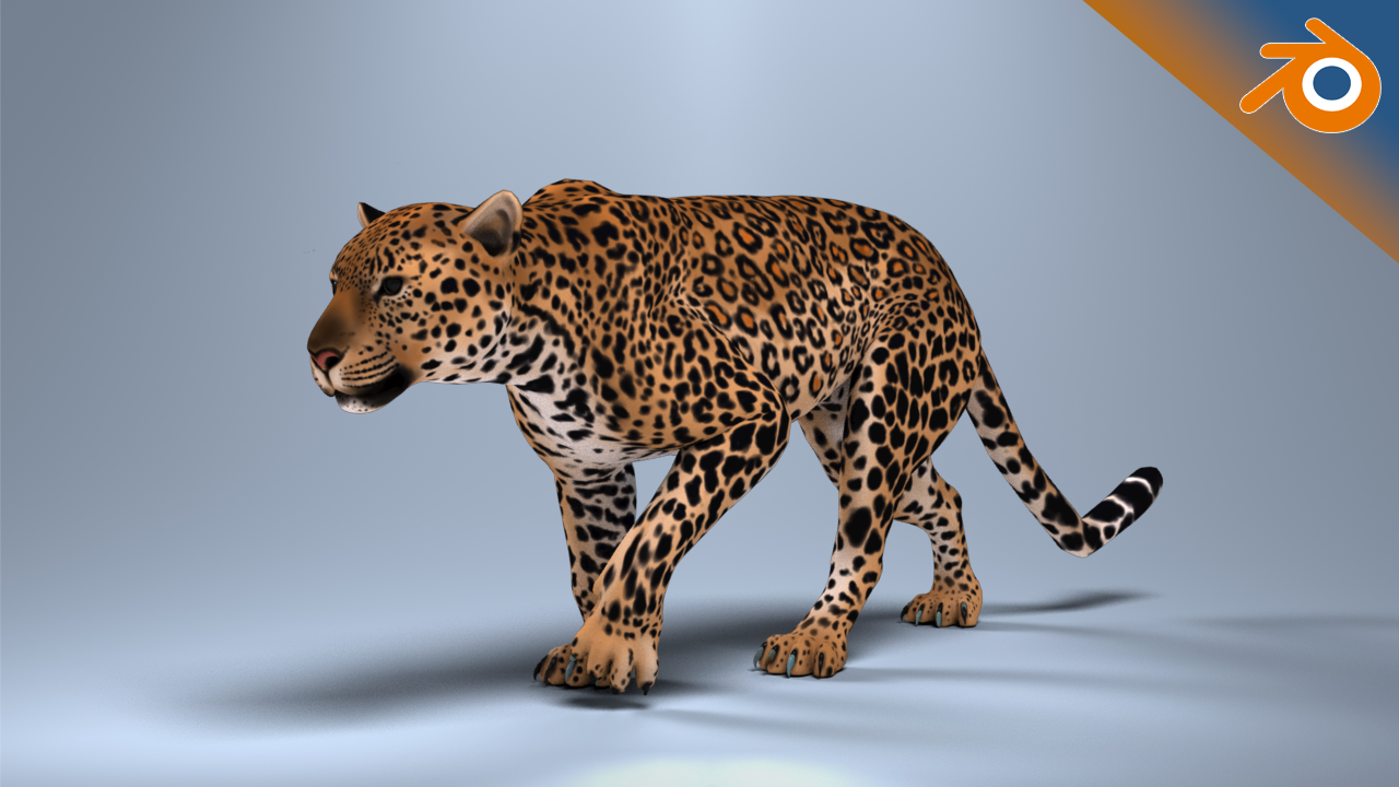 Agora.community | Leopard